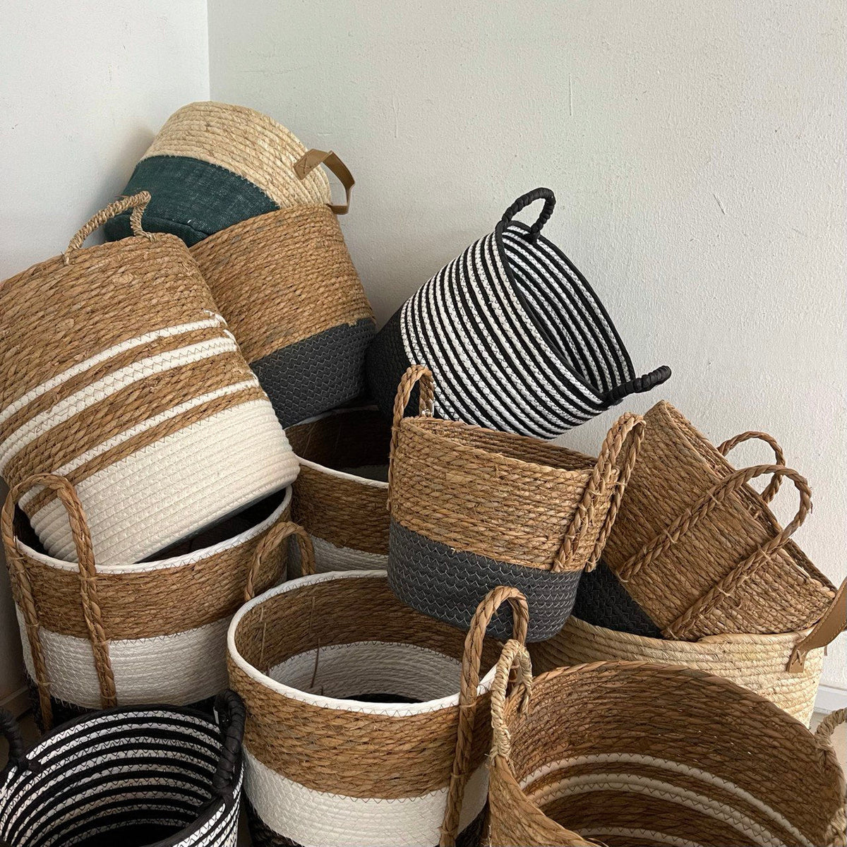 Ming Sing Shares: Spice Up Your Indoor Greenery – mingsing flowers