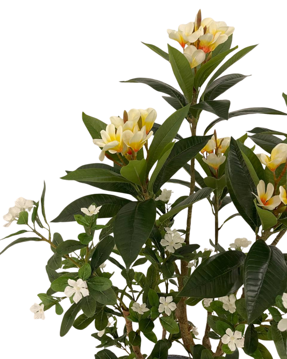 Artificial Frangipani with Periwinkle – mingsing flowers