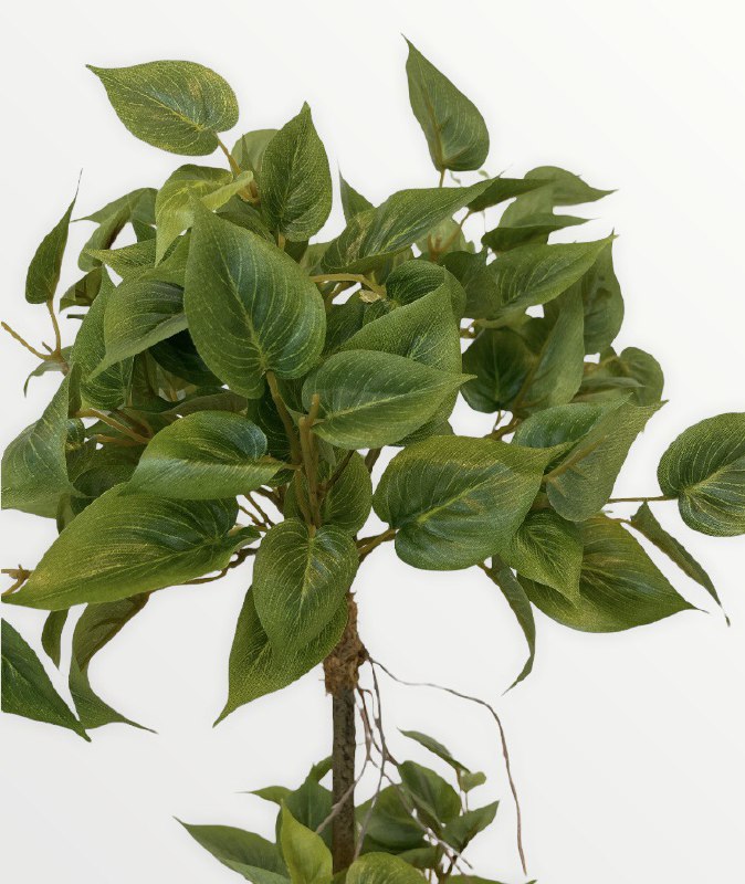 Artificial Mini Philo Topiary – mingsing flowers